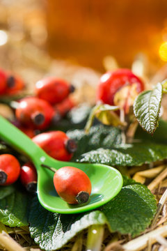 Hiffen Bilder – Durchsuchen 326 Archivfotos, Vektorgrafiken und Videos ...