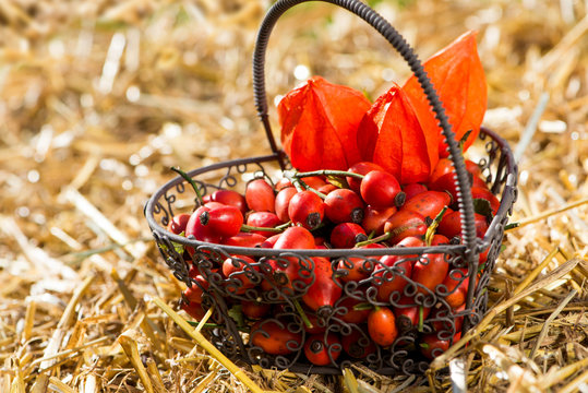 รูปภาพHiffen – เลือกดูภาพถ่ายสต็อก เวกเตอร์ และวิดีโอ326 | Adobe Stock