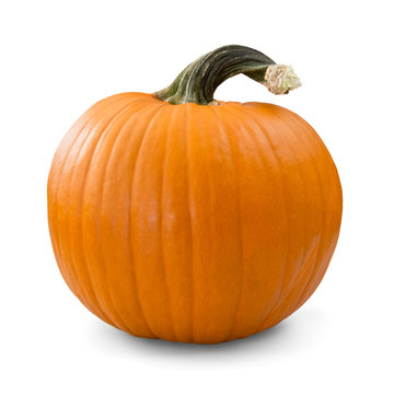 Pumpkin Bilder – Durchsuchen 1,692,913 Archivfotos, Vektorgrafiken und ...