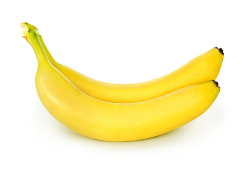 Breanch Images – Browse 70 Stock Photos, Vectors, and Video | Adobe Stock