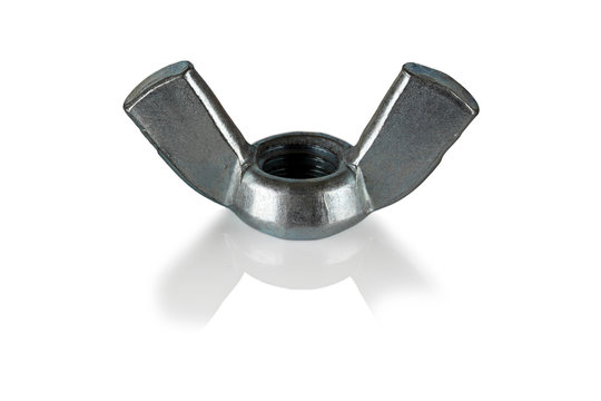 รูปภาพWingnut – เลือกดูภาพถ่ายสต็อก เวกเตอร์ และวิดีโอ256 | Adobe Stock