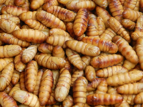 「Maden」の画像 - 2,080 件の Stock 写真、ベクターおよびビデオ | Adobe Stock