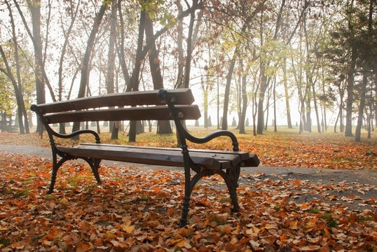 Park Bench Top View Images – Browse 6,432 Stock Photos, Vectors, and ...