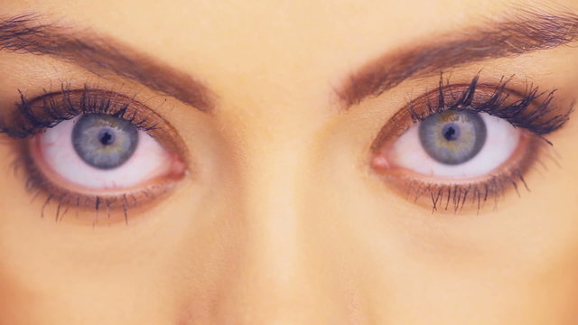 Regard - Images et vidéos libres de droits | Adobe Stock