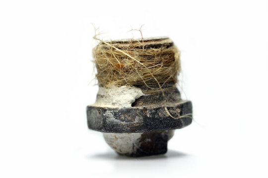 Pfropf Images – Browse 10 Stock Photos, Vectors, and Video | Adobe Stock