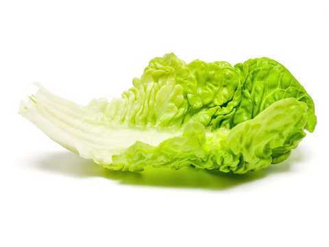 Salatblatt Images – Parcourir 3,692 le catalogue de photos, vecteurs et ...