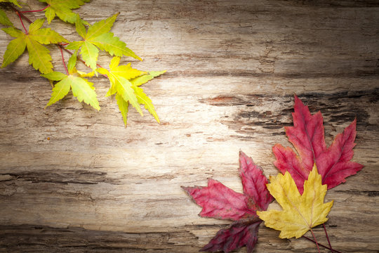 Imágenes de Cuarteado: descubre bancos de fotos, ilustraciones ...