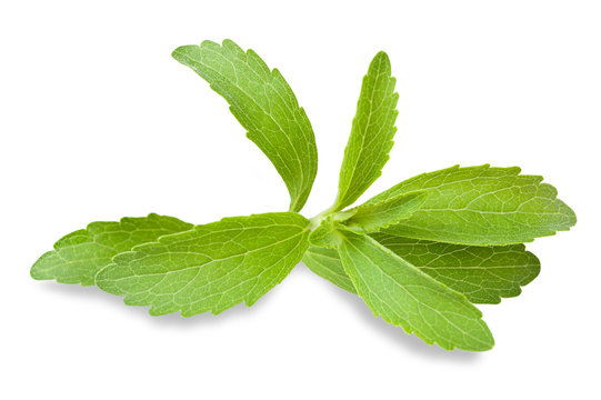 รูปภาพSugar-Leaf – เลือกดูภาพถ่ายสต็อก เวกเตอร์ และวิดีโอ166 | Adobe Stock