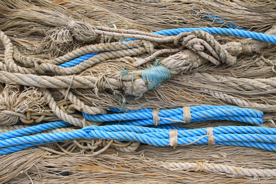 รูปภาพGomena – เลือกดูภาพถ่ายสต็อก เวกเตอร์ และวิดีโอ103 | Adobe Stock