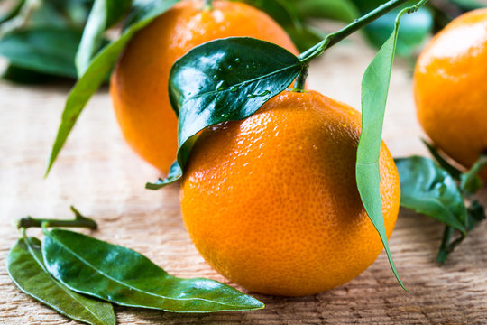 Clementin bilder – Bläddra bland 65,445 stockfoton, vektorer och videor ...