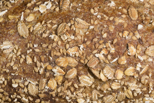 "Pelle Ruvida" Bilder – Durchsuchen 48 Archivfotos, Vektorgrafiken und ...