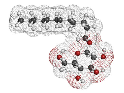 Amphiphil Imagens – Procure 38 fotos, vetores e vídeos | Adobe Stock