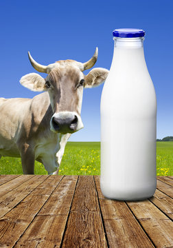 รูปภาพKuhmilch – เลือกดูภาพถ่ายสต็อก เวกเตอร์ และวิดีโอ2,260 | Adobe Stock