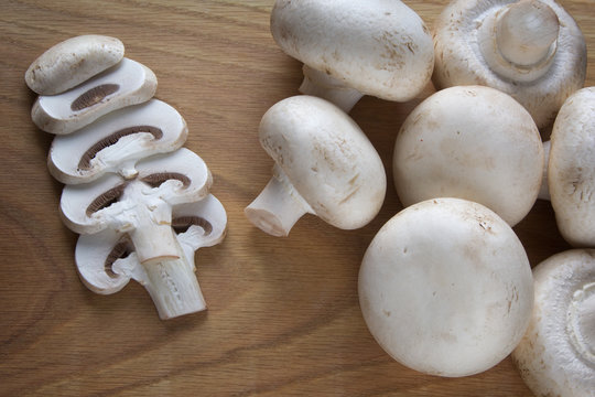 Champignons Billeder – Gennemse 174,925 stockfotos, vektorer og videoer ...