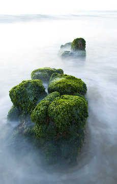 Extraterrestri Images – Browse 135 Stock Photos, Vectors, and Video ...