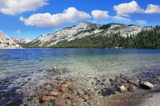 รูปภาพShallow – เลือกดูภาพถ่ายสต็อก เวกเตอร์ และวิดีโอ479,942 | Adobe Stock