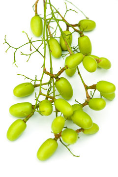 「Margosier」の画像 - 50 件の Stock 写真、ベクターおよびビデオ | Adobe Stock