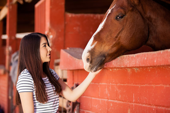 "Equine Therapy" Images – Browse 1,899 Stock Photos, Vectors, and Video ...