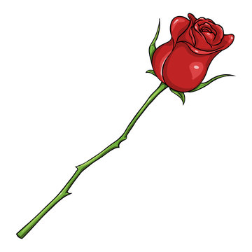 Single Stem Rose Clip Art