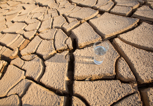 รูปภาพParched – เลือกดูภาพถ่ายสต็อก เวกเตอร์ และวิดีโอ16,741 | Adobe Stock