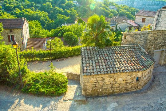 Garigue Bilder – Durchsuchen 6,960 Archivfotos, Vektorgrafiken und ...