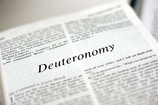 Deuteronomy Bible
