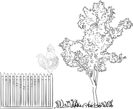 34 BEST Femce IMAGES, STOCK PHOTOS & VECTORS | Adobe Stock