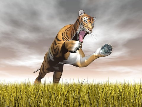 "Tiger Hunting" Images – Browse 243 Stock Photos, Vectors, and Video ...