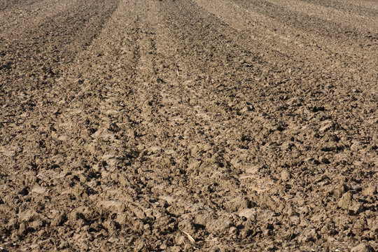 รูปภาพPlowed – เลือกดูภาพถ่ายสต็อก เวกเตอร์ และวิดีโอ194,695 | Adobe Stock