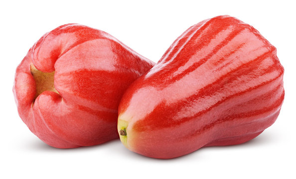 Makopa 画像 - 参照 2,095 Stock 写真、ベクターおよびビデオ | Adobe Stock