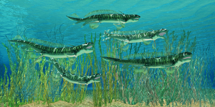 Devonian Period Environment