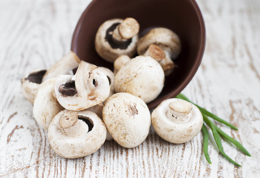 Champignons Billeder – Gennemse 174,925 stockfotos, vektorer og videoer ...