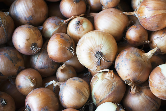 รูปภาพOnion – เลือกดูภาพถ่ายสต็อก เวกเตอร์ และวิดีโอ2,126,852 | Adobe Stock