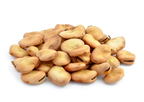 Pferdebohnen Bilder – Durchsuchen 2,249 Archivfotos, Vektorgrafiken und ...