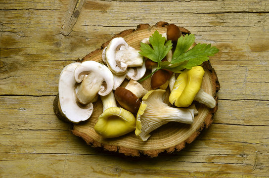 Finferlo Bilder – Durchsuchen 124 Archivfotos, Vektorgrafiken und ...