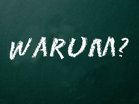 Imágenes de Warum: descubre bancos de fotos, ilustraciones, vectores y ...