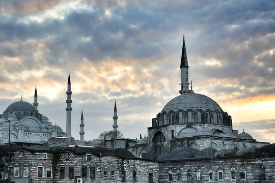 รูปภาพ"Dini – เลือกดูภาพถ่ายสต็อก เวกเตอร์ และวิดีโอ1,135 | Adobe Stock