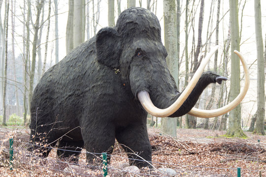 Mamut Images – Browse 256 Stock Photos, Vectors, and Video | Adobe Stock