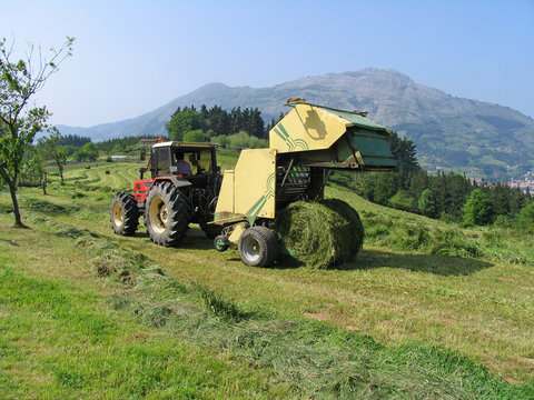 Labriego Bilder – Durchsuchen 49 Archivfotos, Vektorgrafiken und Videos ...