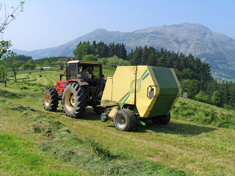 Labriego Bilder – Durchsuchen 49 Archivfotos, Vektorgrafiken und Videos ...