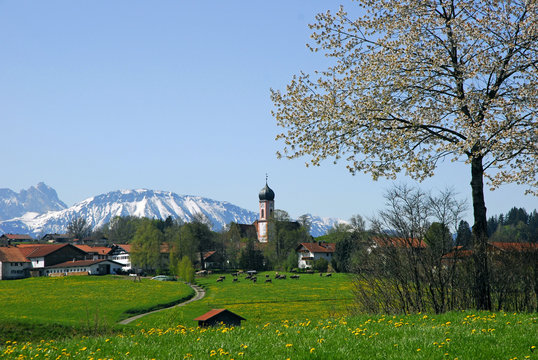 "Seeg Images – Browse 371 Stock Photos, Vectors, and Video | Adobe Stock