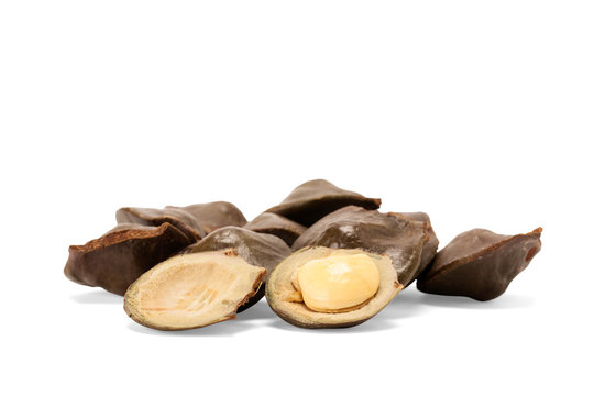 รูปภาพJengkol – เลือกดูภาพถ่ายสต็อก เวกเตอร์ และวิดีโอ252 | Adobe Stock