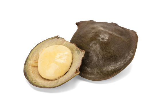 รูปภาพJengkol – เลือกดูภาพถ่ายสต็อก เวกเตอร์ และวิดีโอ252 | Adobe Stock