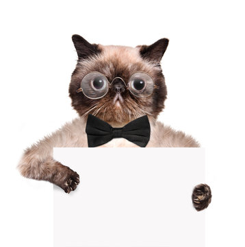 Placeholder Images – Browse 61,022 Stock Photos, Vectors, and Video ...