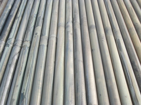 Tij Images – Browse 61 Stock Photos, Vectors, and Video | Adobe Stock