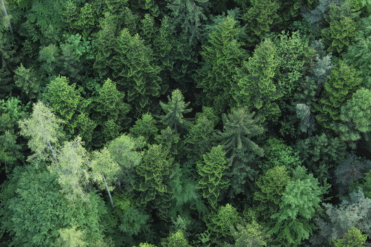 รูปภาพKandel – เลือกดูภาพถ่ายสต็อก เวกเตอร์ และวิดีโอ1,000 | Adobe Stock