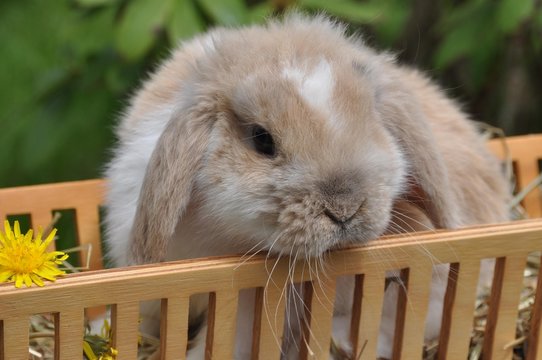 Nhd Images – Browse 248 Stock Photos, Vectors, and Video | Adobe Stock