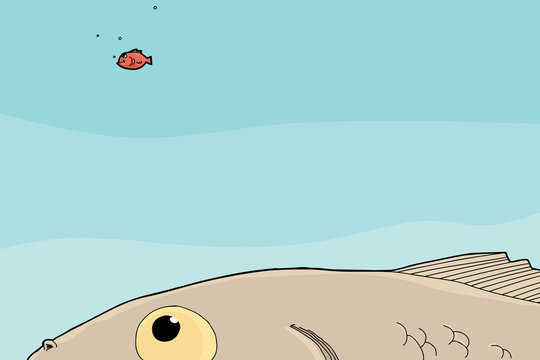 Flopping Fish Animation