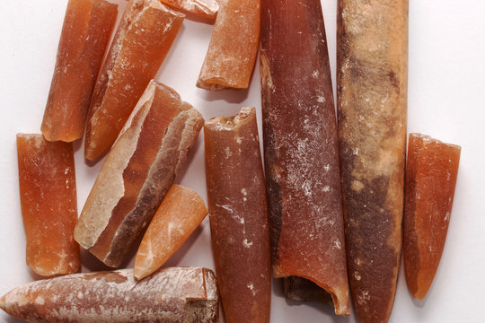 Belemnoidea-Bilder: Stock-Fotos & -Videos. | Adobe Stock