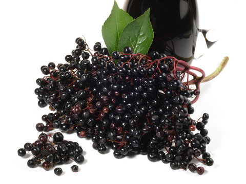 「Hollunder」の画像 - 497 件の Stock 写真、ベクターおよびビデオ | Adobe Stock